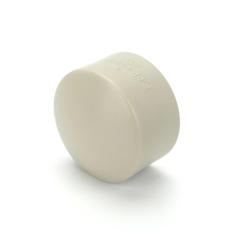 Sealing Perfection: The Versatile PPR Fitting Cap – Protecting Your ...